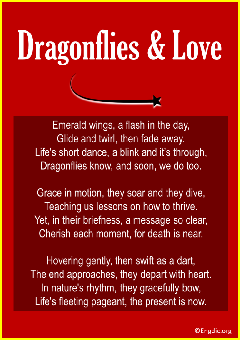10 Poems About Dragonflies, Death, & Love - EngDic
