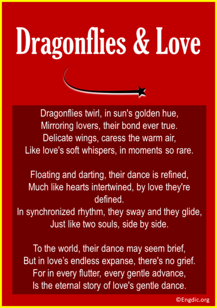 10 Poems About Dragonflies, Death, & Love - EngDic