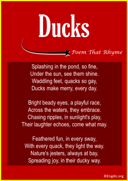 10 Short Poems About Ducks - EngDic