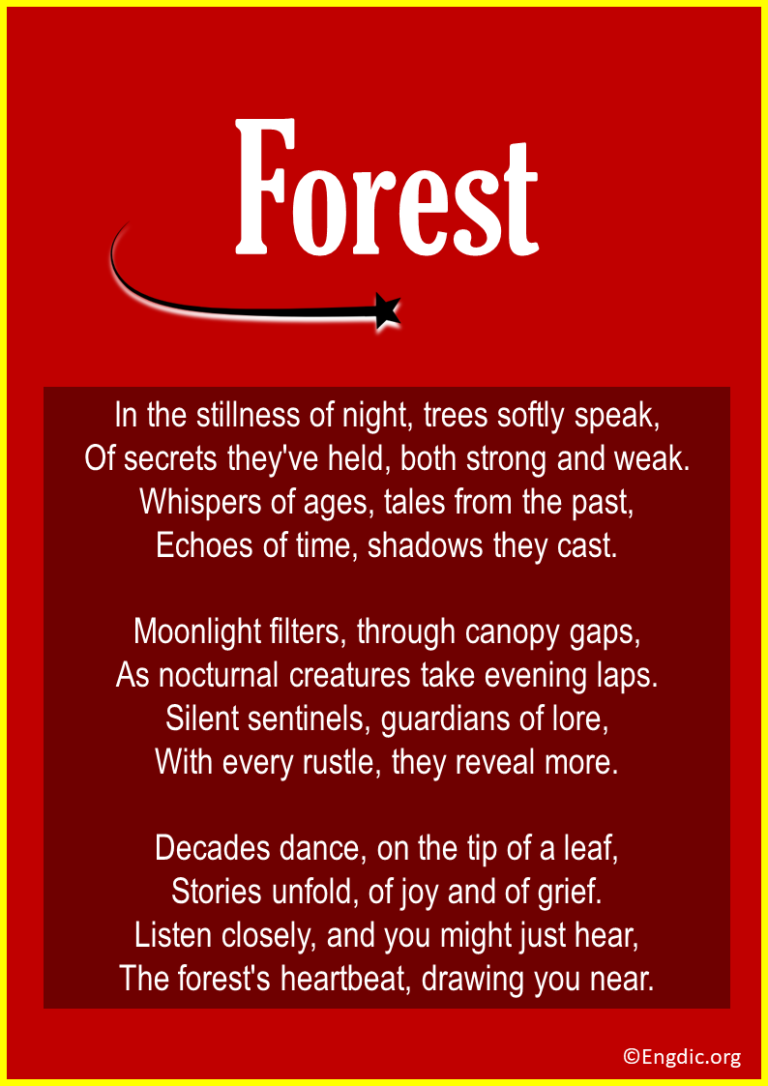 13 Short Poems About Forest And Rain Forest - EngDic