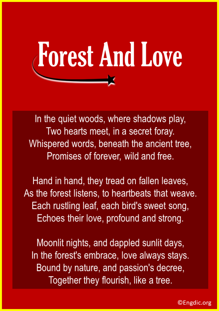 13 Short Poems About Forest And Rain Forest - EngDic