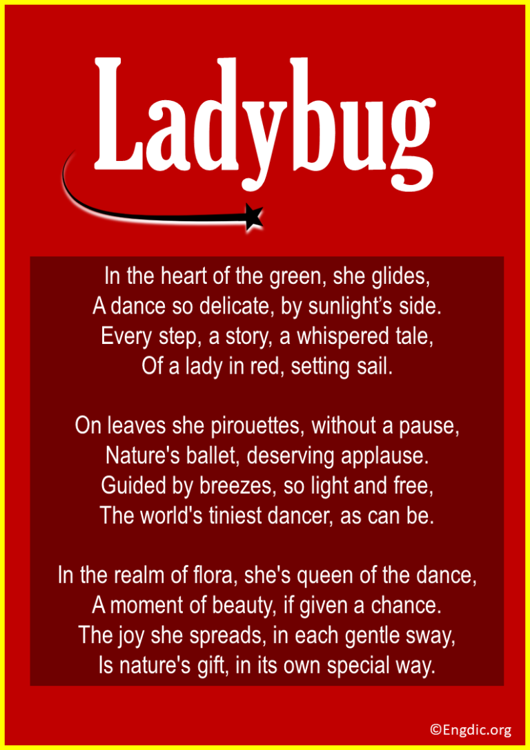 10 Short & Inspirational Poems About Ladybug - EngDic