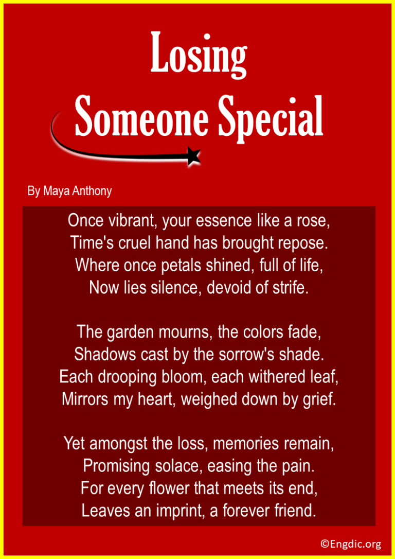 14 Poems About Someone Special In Your Life - EngDic