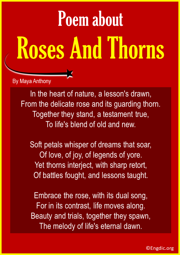 16 Best Refreshing Poems About Roses - EngDic