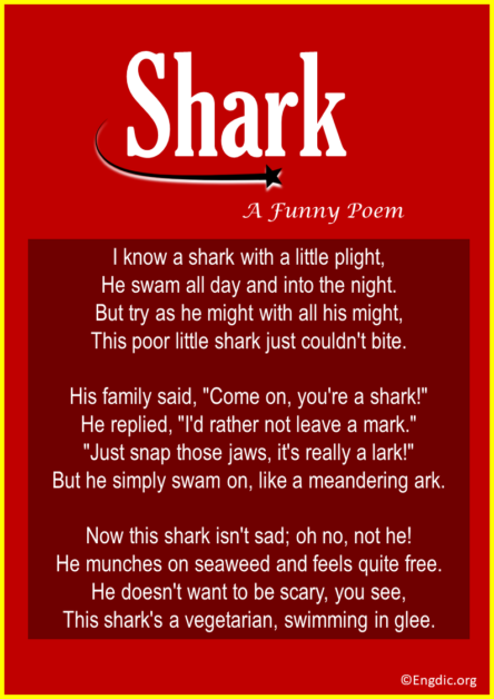 10 Funny Children Poems About Shark - EngDic