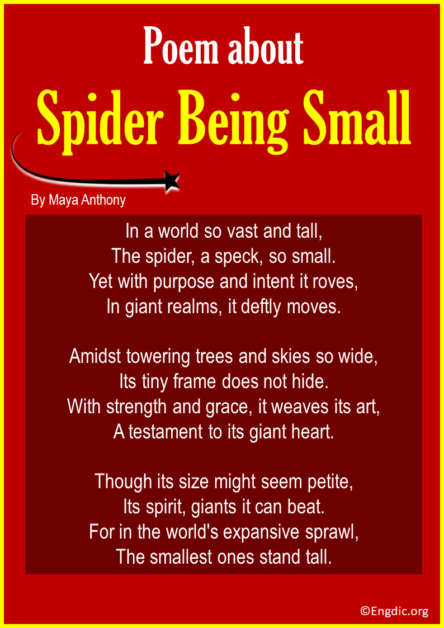 15 Best Short Poems About Spider - EngDic