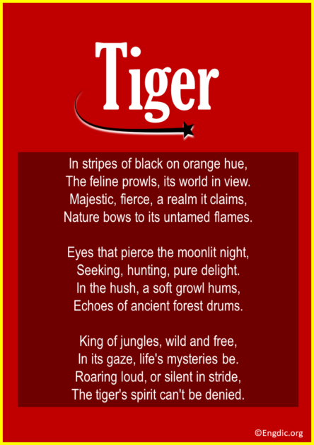 10 Best Poems About Tiger And Its Life - EngDic