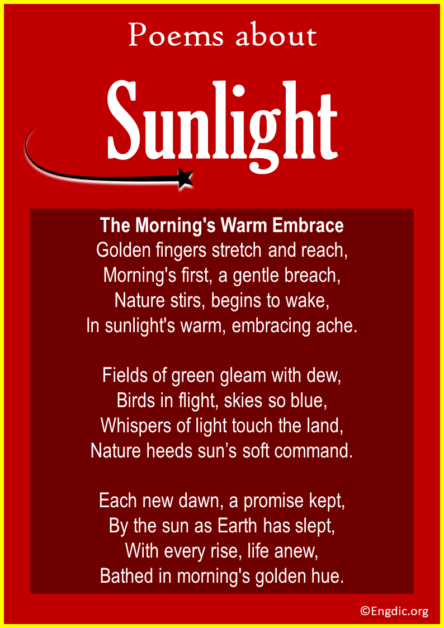 Top 20 Poems about Sunlight - EngDic