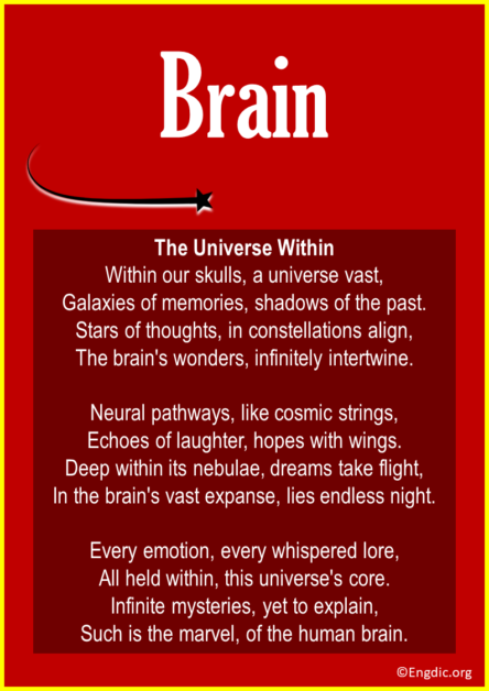 20 Short Poems about the Mind and Brain - EngDic