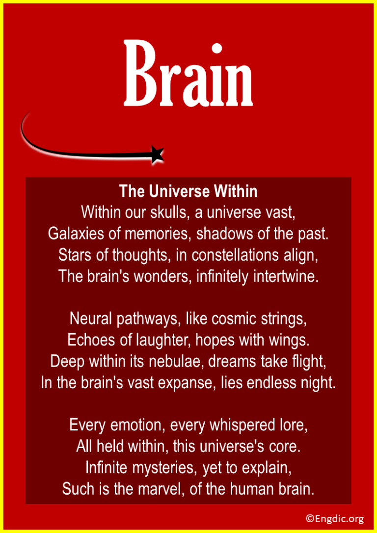20 Short Poems about the Mind and Brain - EngDic