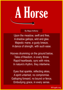 13 Best Short Poems About Horses - EngDic