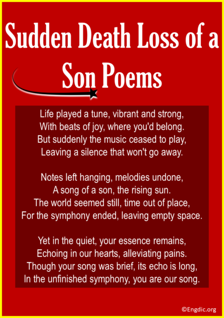 10+ Poems about the Loss Of Son (Son Deceased) - EngDic