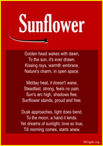 10 Best Poems About Sunflowers (For Her) - EngDic