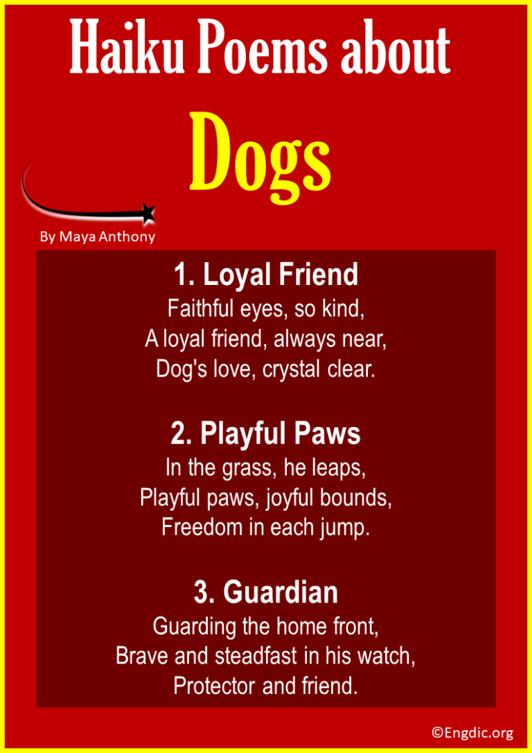 10 Best Haiku Poems about Dogs - EngDic