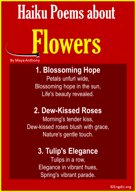 10 Best Haiku Poems About Flowers Engdic