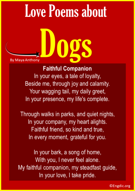 10 Best Love Poems about Dogs - EngDic
