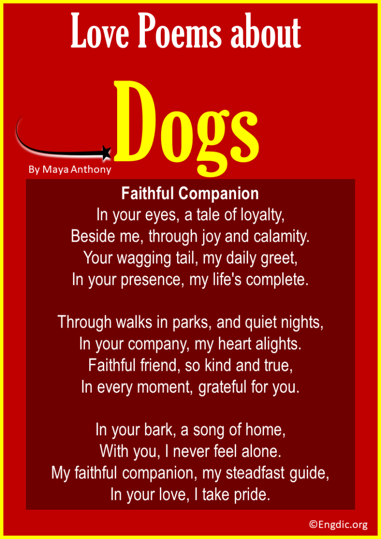 10 Best Love Poems about Dogs - EngDic