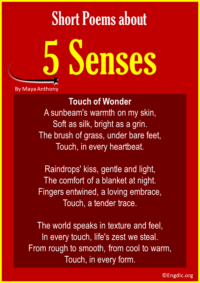 10 Best Short Poems About 5 Senses EngDic 10 Best Short Poems About 5 Senses EngDic