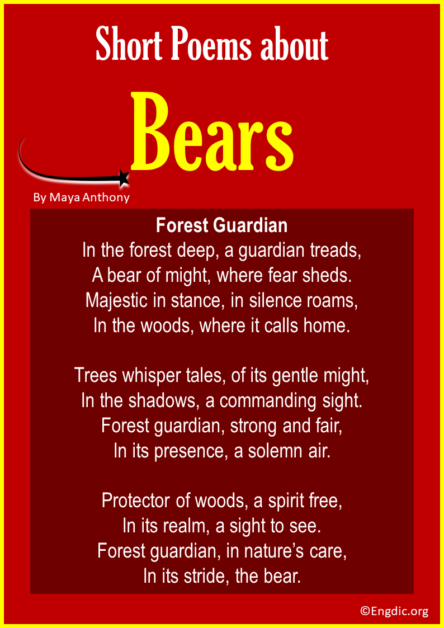 10 Best Short Poems about Bears - EngDic