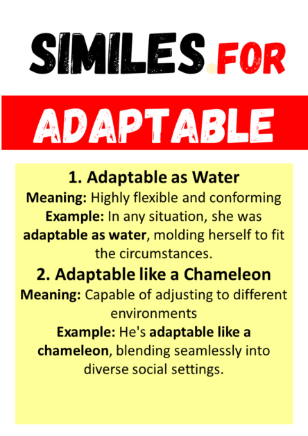 20 Best Similes for Adaptable (with Meanings and Examples) - EngDic