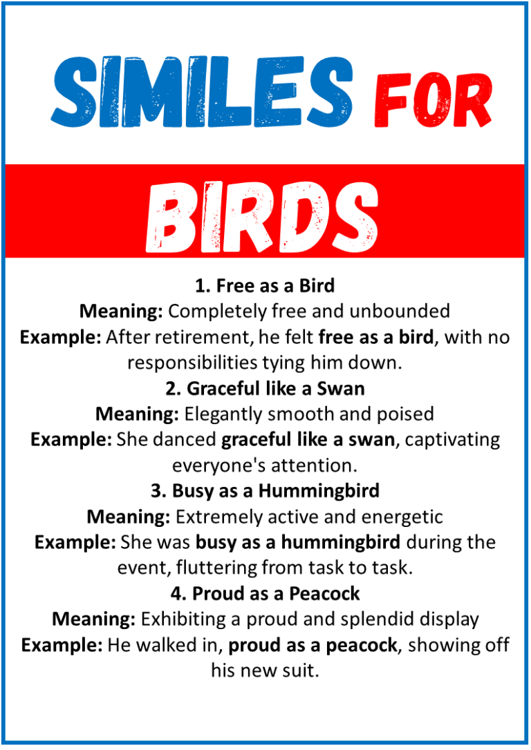 20 Best Similes for Birds (With Meanings & Examples) - EngDic