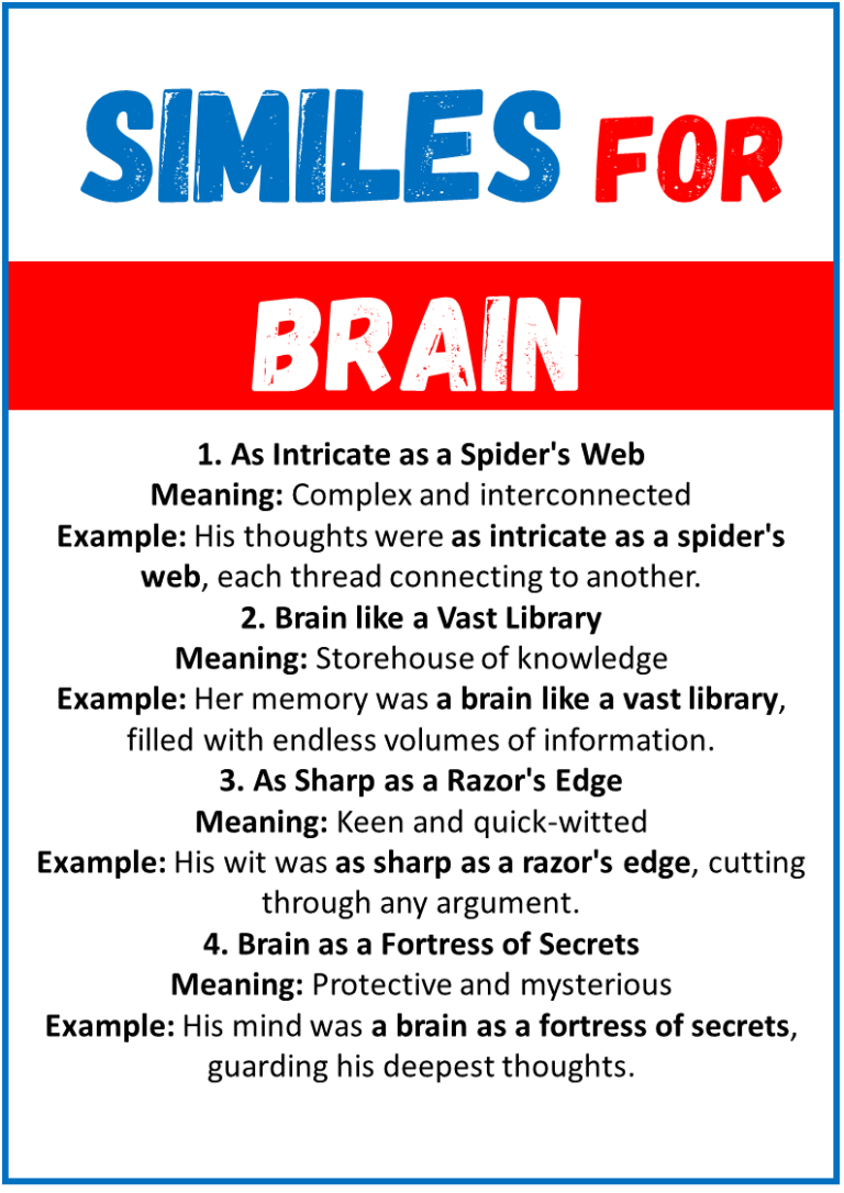 20 Best Similes for Brain (With Meanings & Examples) - EngDic