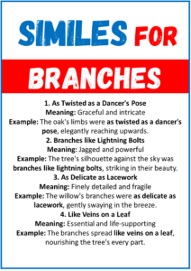 20 Best Similes for Branches (With Meanings & Examples) - EngDic