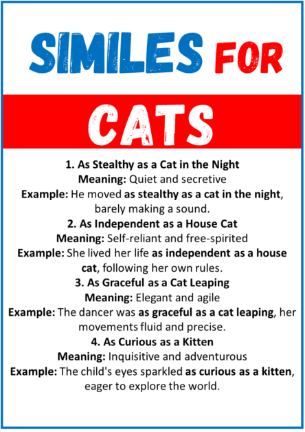 20 Best Similes for Cats (With Meanings & Examples) - EngDic