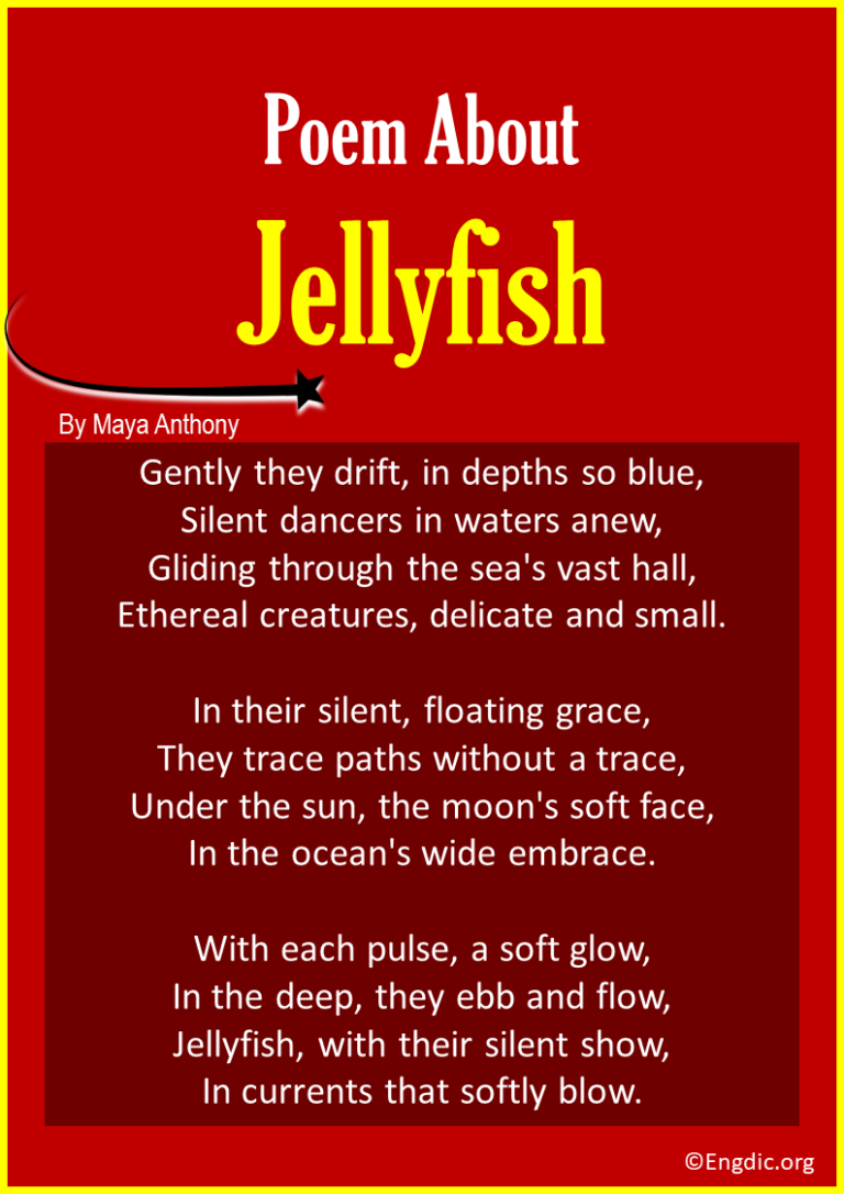 10 Best Short Poems about Jellyfish - EngDic