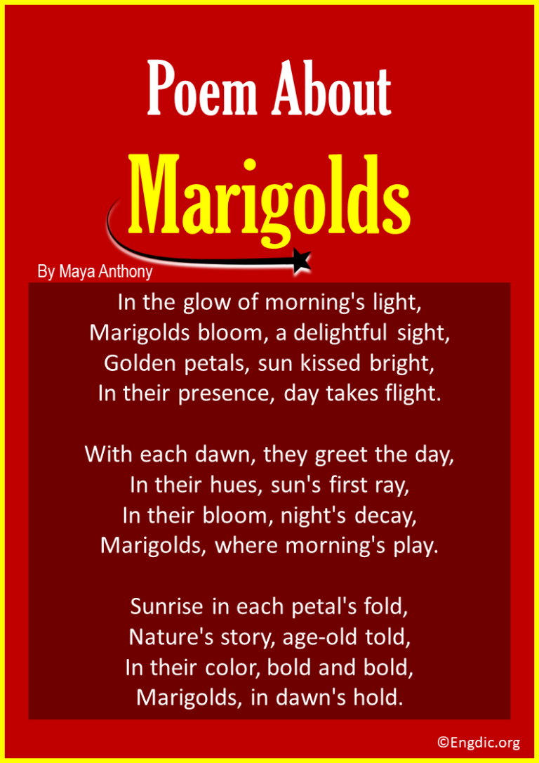 10 Best Short Poems about Marigolds - EngDic