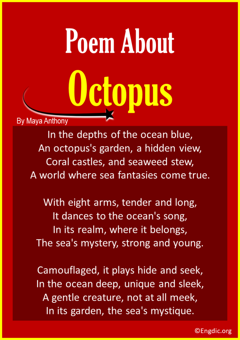 10 Best Short Poems about Octopus - EngDic
