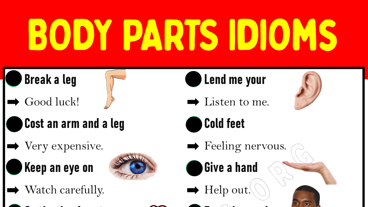 Learn Interesting Idioms with Body Parts! - EngDic