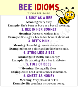 Bee Idioms (With Meaning and Examples) - EngDic