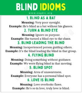 Blind Idioms (With Meaning and Examples) - EngDic