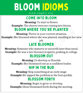 Bloom Idioms (With Meaning and Examples) - EngDic