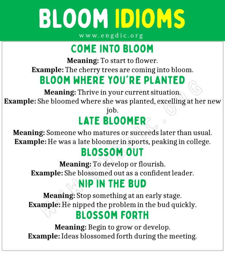 Bloom Idioms (With Meaning and Examples) - EngDic