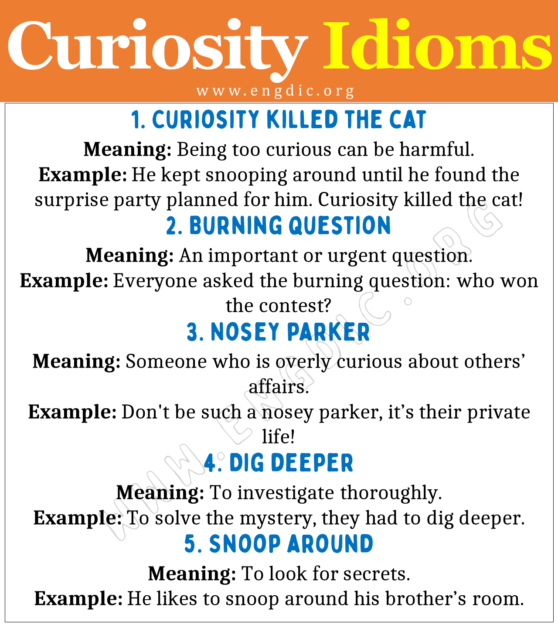 Curiosity Idioms (With Meaning and Examples) - EngDic
