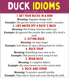 Duck Idioms (With Meaning and Examples) - EngDic