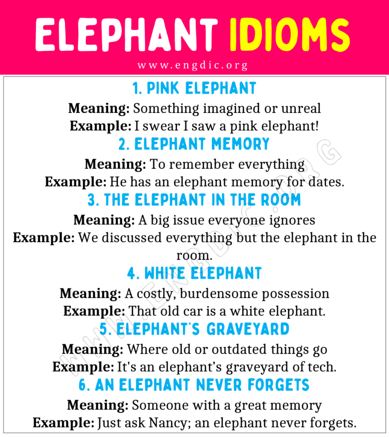Elephant Idioms (With Meaning and Examples) - EngDic