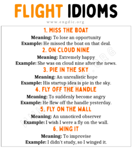 Flight Idioms (With Meaning and Examples) - EngDic