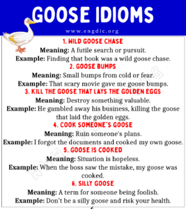 Goose Idioms (With Meaning and Examples) - EngDic