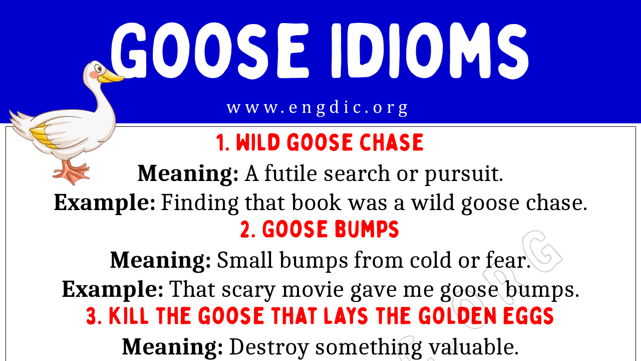 Goose Idioms (With Meaning and Examples) - EngDic
