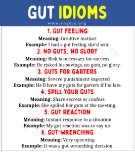 Gut Idioms (With Meaning and Examples) - EngDic