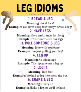 Legs Idioms (With Meaning and Examples) - EngDic