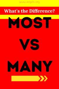 Most vs Many (What's the Difference?) - EngDic