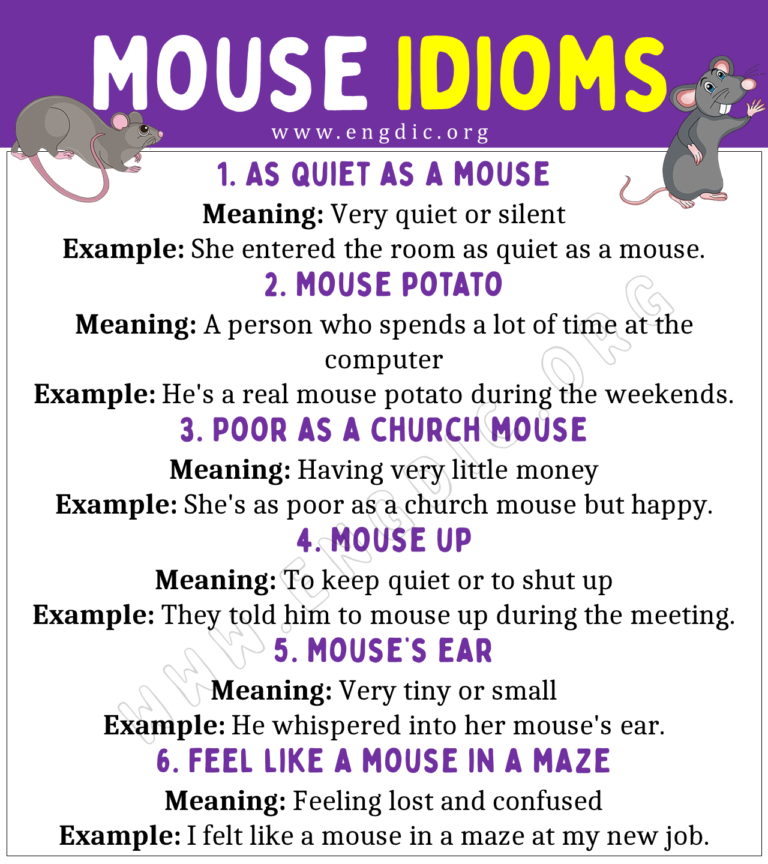 Mouse Idioms (With Meaning and Examples) - EngDic