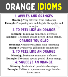 Orange Idioms (With Meaning and Examples) - EngDic