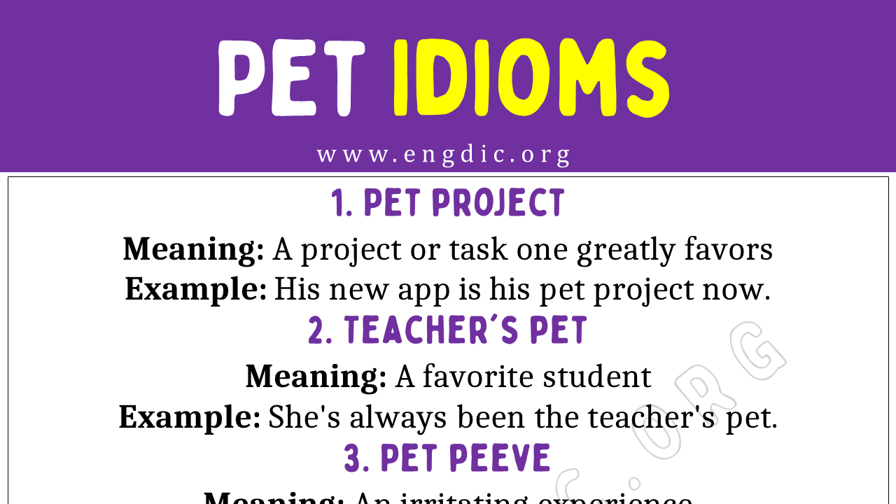 Pet Idioms (With Meaning and Examples) - EngDic