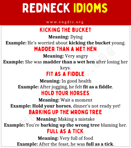 Redneck Idioms (With Meaning and Examples) - EngDic