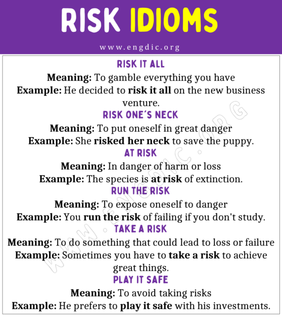 Risk Idioms (With Meaning and Examples) - EngDic